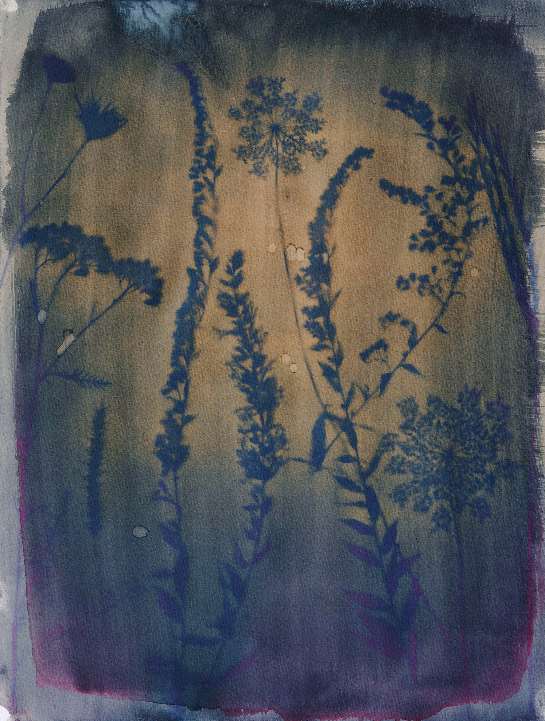 "Of Land and Place" | RISD Alumni