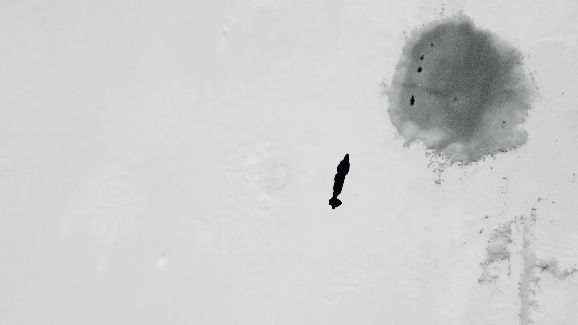 "Blank City" | RISD Alumni